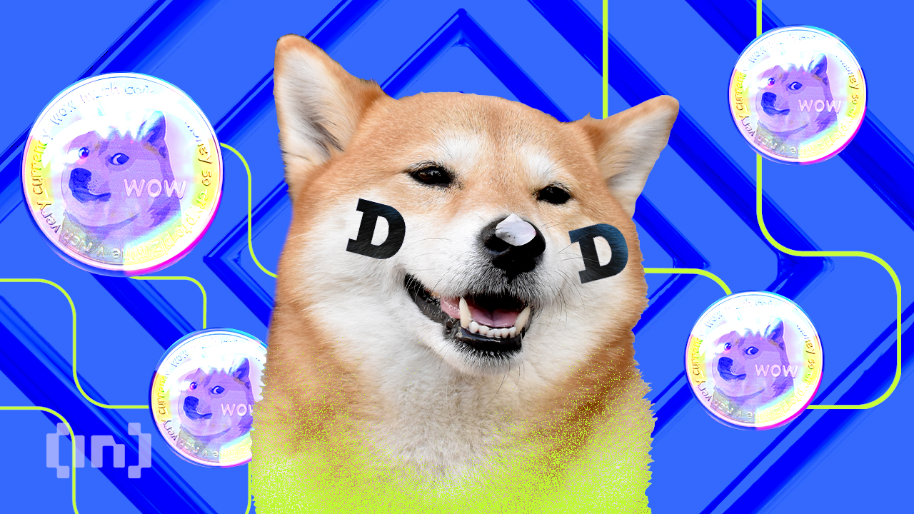 Wallet Dogecoin Terbaik 2023: DOGE Aman & Full Senyum
